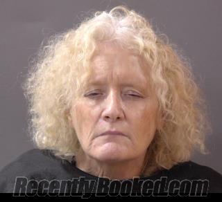 Recent Booking / Mugshot for Cynthia Susan Baugh in Hamilton County ...