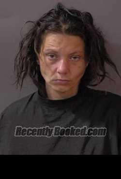 Recent Booking / Mugshot for Jamie Lynn Jeffers in Hamilton County, Indiana