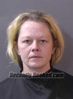 Recent Booking / Mugshot for Alisa Sue Sanders in Hamilton County, Indiana