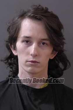 Recent Booking / Mugshot for Andrew Mason Fleenor in Hamilton County ...