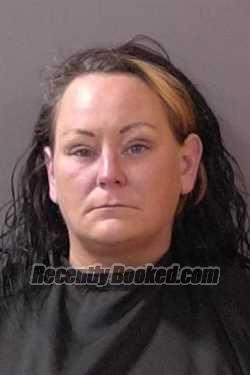 Recent Booking / Mugshot for Sheena Lynn Singh in Hamilton County, Indiana