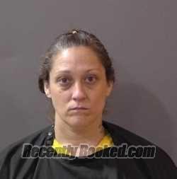 Recent Booking / Mugshot for Megan Marie Williams in Hamilton County ...