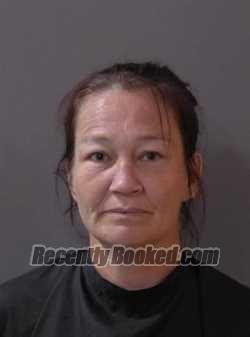 Recent Booking / Mugshot for Heather Oliver Sanders in Hamilton County ...