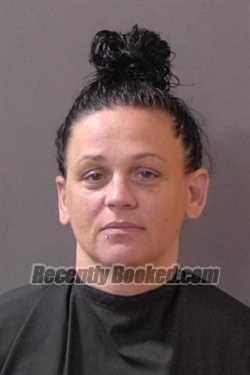 Recent Booking / Mugshot for Megan Nicole Wyland in Hamilton County ...