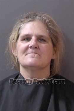 Recent Booking / Mugshot for Carin Marie Hansen in Hamilton County, Indiana