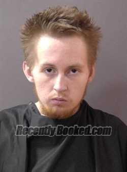 Recent Booking / Mugshot for Skylar Ray Berry in Hamilton County, Indiana