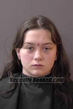 Recent Booking / Mugshot for Megan Rose Fitzpatrick in Hamilton County ...