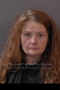 Recent Booking / Mugshot for Michelle Lee Redding in Hamilton County ...