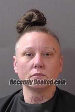 Recent Booking / Mugshot for Ashley Ann Anderson in Hamilton County ...