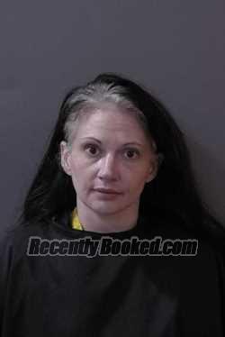 Recent Booking / Mugshot for Lisa Marie Warner in Hamilton County, Indiana