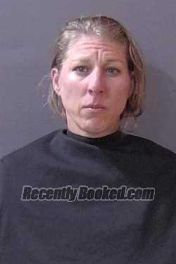 Sarah Anderson Cosner Mugshot & Arrest Info | Hamilton County, IN