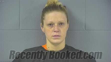 Recent Booking / Mugshot for SARAH ELIZABETH JOHNSON in Hancock County ...