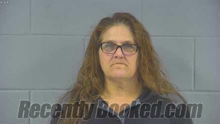 Recent Booking / Mugshot for CARIN MARIE HANSEN in Hancock County, Indiana