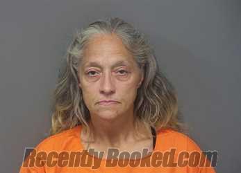 Recent Booking / Mugshot for SHEILA ANN DILLEHAY in Hendricks County ...