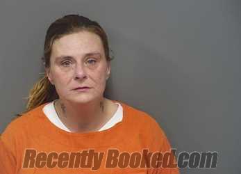 Recent Booking / Mugshot for MICHELLE LEANN WALTERS in Hendricks County ...