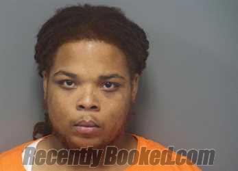 Recent Booking / Mugshot for KINLEY DANYELL JOHNSON-POOLE in Hendricks ...