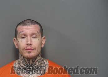 Recent Booking / Mugshot for DUSTY CAGE STEWART in Hendricks County ...