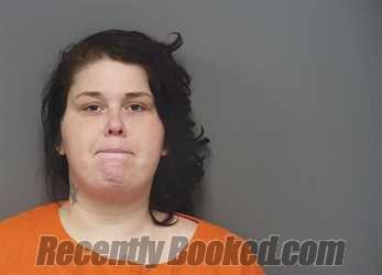 Recent Booking / Mugshot for RACHEL NICOLE COLEY in Hendricks County ...