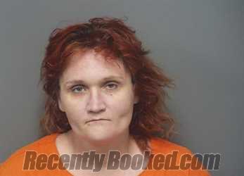 AMBER LYNN GARNER Arrest Record & Booking Info – Hendricks County ...