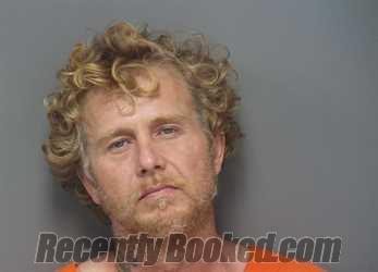 Recent Booking / Mugshot for CHRISTOPHER SHANE GOLDEN in Hendricks ...