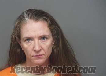 Recent Booking / Mugshot for RACHEL MARIE MARTIN in Hendricks County ...