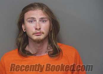Recent Booking / Mugshot for CLAYTON MICHAEL ANDERSON in Hendricks ...