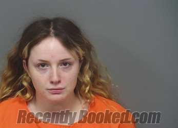 Recent Booking / Mugshot for ANJOLIE JUNE CHEEK in Hendricks County ...