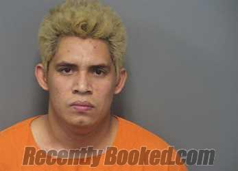 Recent Booking / Mugshot for OSCAR RONALDO in Hendricks County, Indiana