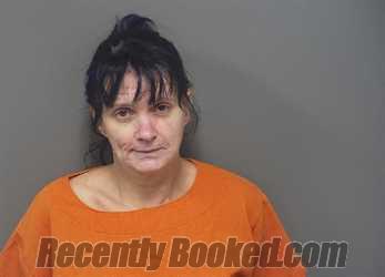 Recent Booking / Mugshot for JENNIFER MICHELLE ROGERS in Hendricks ...