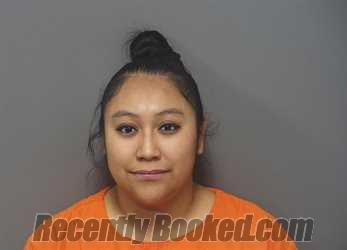 Recent Booking / Mugshot for LUZ E CRUZ HERNANDEZ in Hendricks County ...