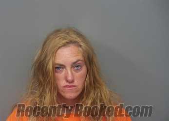 Recent Booking / Mugshot for HEIDI JO SIMS in Hendricks County, Indiana