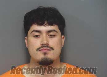 Recent Booking / Mugshot for MELVIN JONATHAN SANABRIA in Hendricks ...