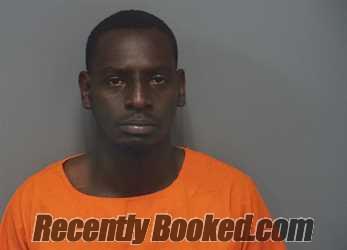 Recent Booking / Mugshot for BONKE BISETSA KAMANZI in Hendricks County ...