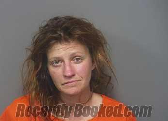 Recent Booking / Mugshot for AMY LYNN ESTEP in Hendricks County, Indiana