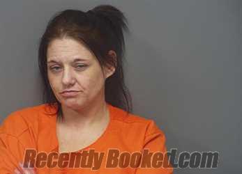 Recent Booking / Mugshot for DANIELLE NICOLE HOLMAN in Hendricks County ...