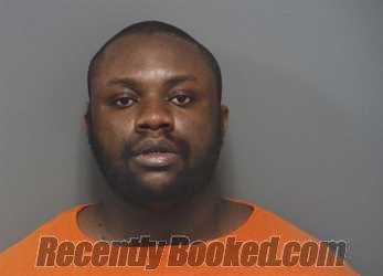 Recent Booking / Mugshot for TEMILOLUWA RICHARD ADEYEMI in Hendricks ...