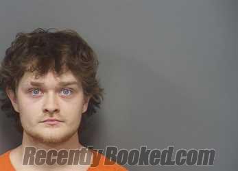 Recent Booking / Mugshot for GABRIEL CHRISMAN STAPLETON in Hendricks ...