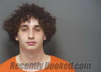 Recent Booking / Mugshot for ETHAN MATTHEW MINIX in Hendricks County ...