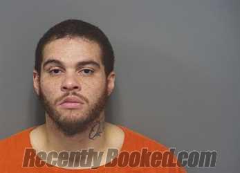 Recent Booking / Mugshot for DONAA DAVID PATTERSON in Hendricks County ...