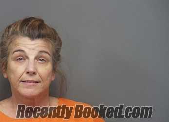 Recent Booking / Mugshot for TRACY MARIE MORRIS in Hendricks County ...