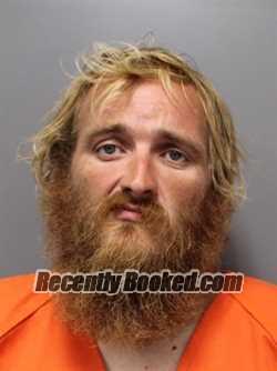 Recent Booking / Mugshot for CHRISTOPHER EVAN GERLACH in Hendricks ...