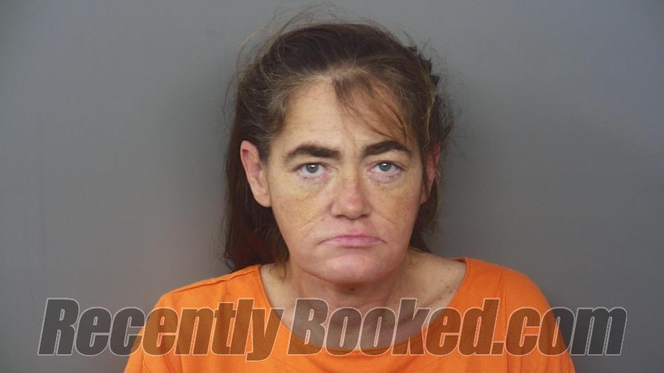 Recent Booking / Mugshot for AMANDA JEAN MAYNARD in Hendricks County ...