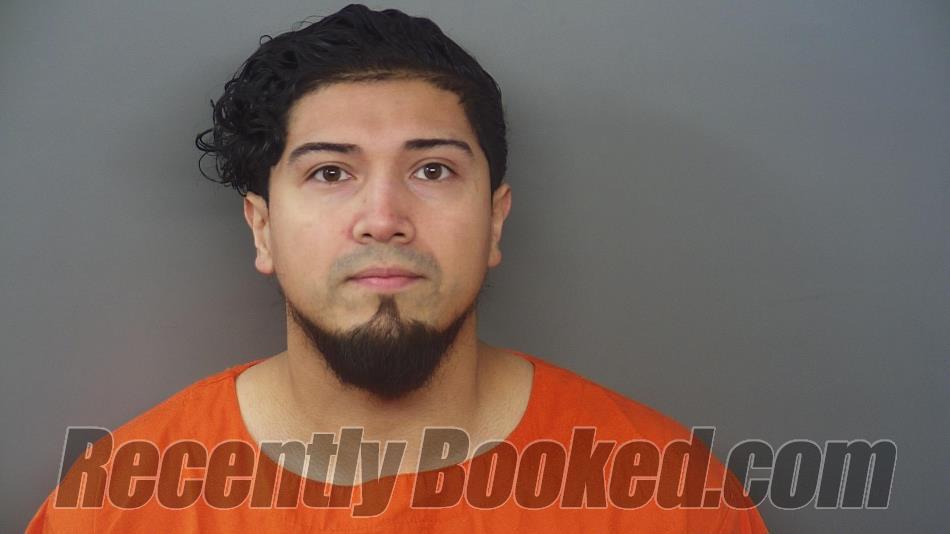 Recent Booking / Mugshot for CHRISTIAN DEREK BORRAYO in Hendricks ...