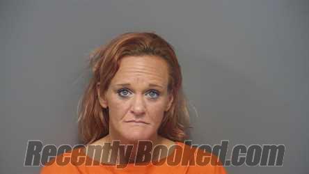 Recent Booking / Mugshot for HEATHER ANN MCINTIRE in Hendricks County ...