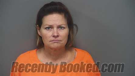 Recent Booking / Mugshot for HOLLY ANN SEALE in Hendricks County, Indiana