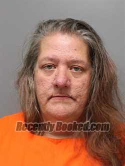 Recent Booking / Mugshot for SHANA LYNN WINNINGHAM in Hendricks County ...