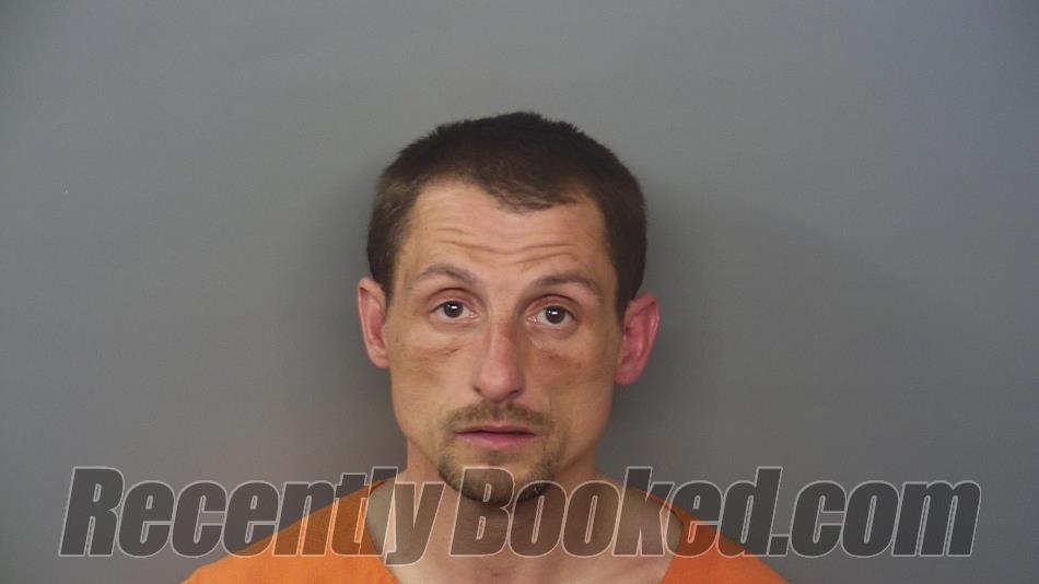 Recent Booking / Mugshot for JOSHUA ALLEN FOLTZ in Hendricks County ...