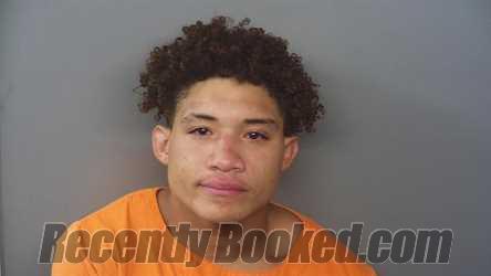 Recent Booking / Mugshot for JOSHUA JASON JONES in Hendricks County ...