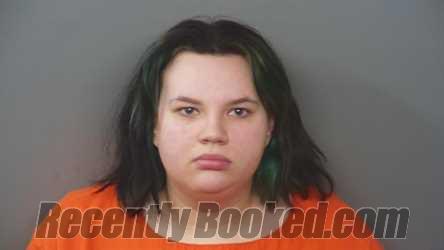 Recent Booking / Mugshot for SYLVIA GRACE HILL in Hendricks County, Indiana