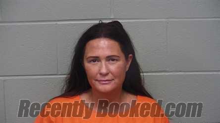 Recent Booking / Mugshot for STACY ELIZABETH HUBNER in Hendricks County ...